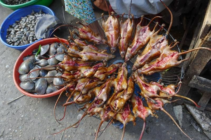 Ratones a la Parrilla es una delicia en Vietnam | NEGOCIOS EMPLEO ...