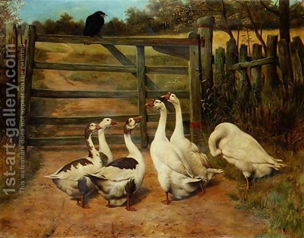 Talmud Illuminated: Chullin 62 – Identifying Kosher Birds