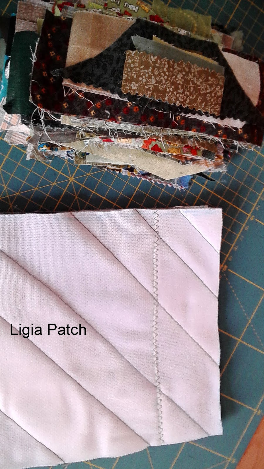 Ligia Patch: 2018