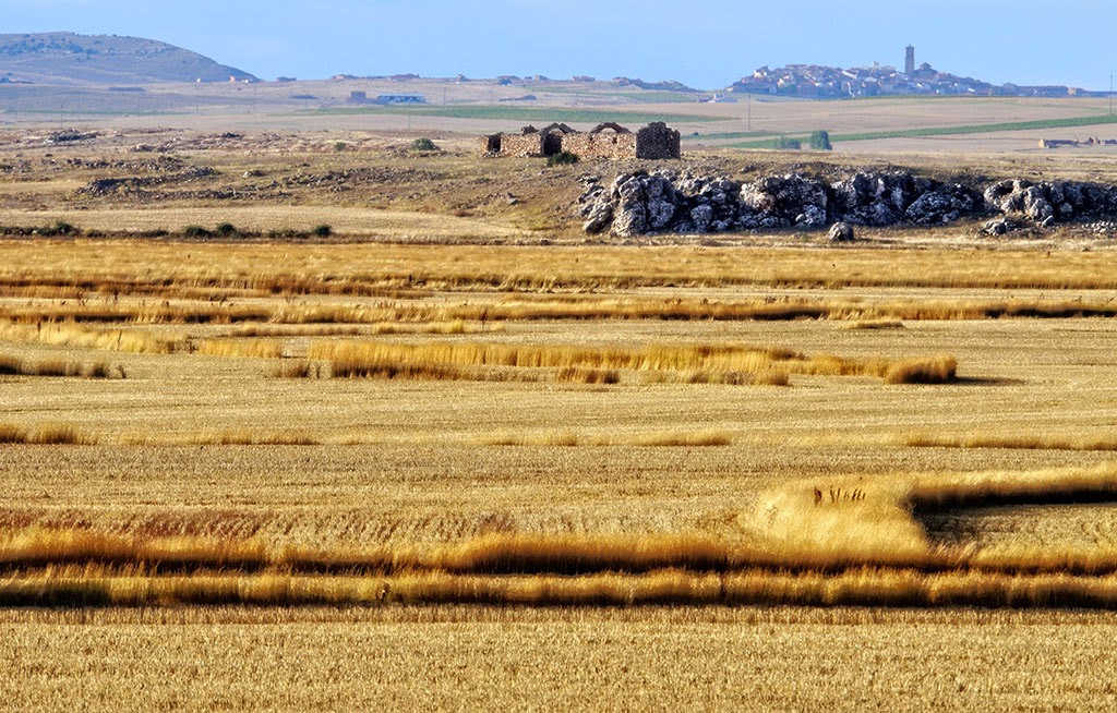 Wouts fotobloG: Laguna de la Zaida, Aragón