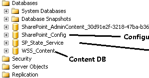 SteveMann's Path: SharePoint 2016: Exploring SharePoint Databases