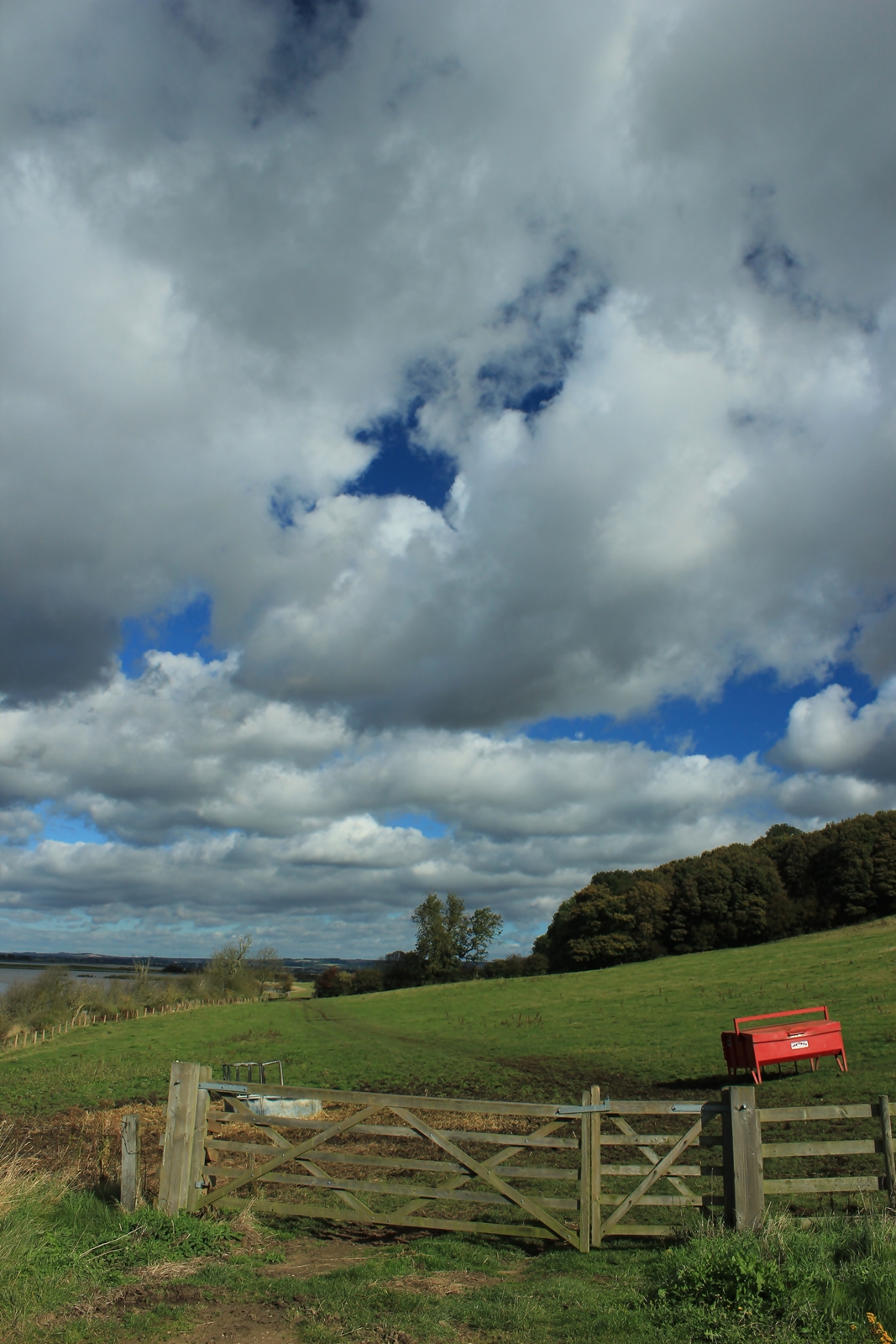 Steve's Birding And Wildlife Blog.: October 2012