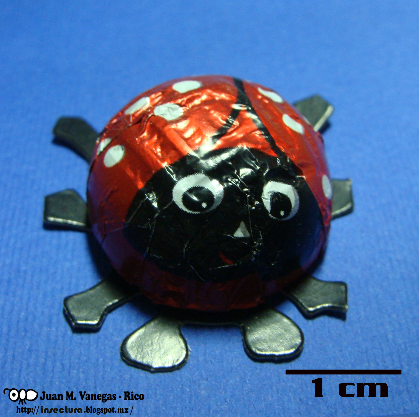 INSECTURA: chocolates con forma de abeja y catarina