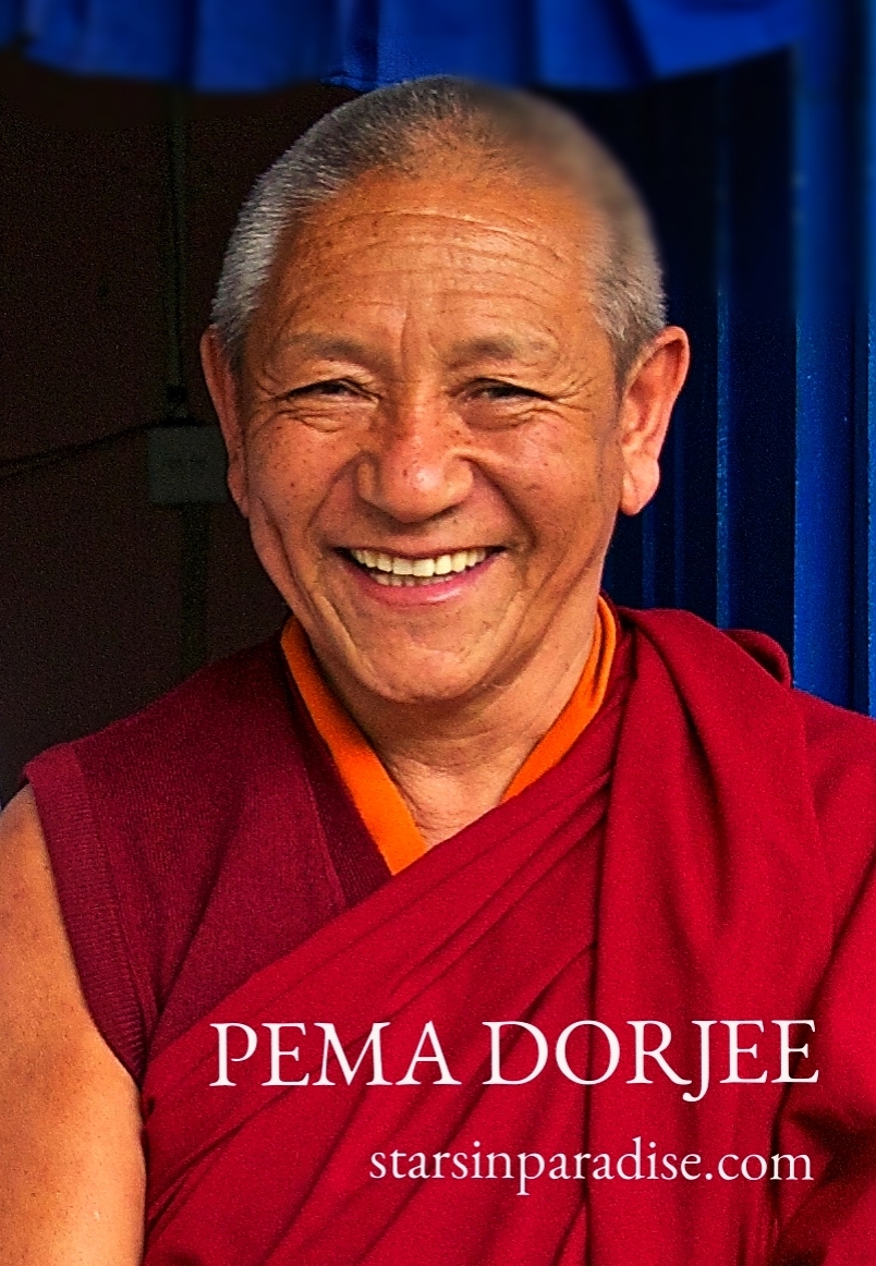 Stars In Paradise : KINDNESS AND COMPASSION #1 AT THE BOX- OFFICE ...