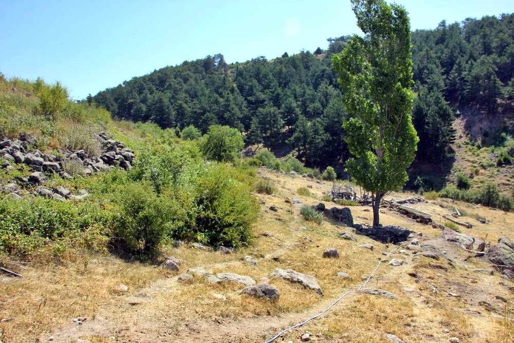 Arkeo Denemeler: Zeyde Yerleşimi / ANKARA / GALATİA / Beypazarı ...