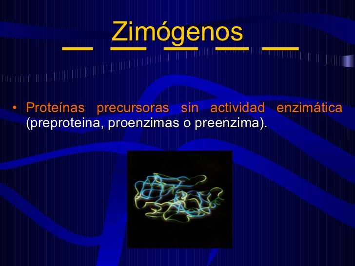 BIOQUIMICA AM: SABERES CONCEPTUALES