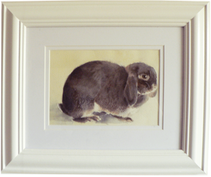 Fruitless Pursuits: Olive the Rabbit