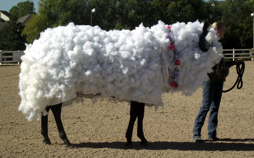 Horse Fancy Dress Ideas: Little Bo Peep