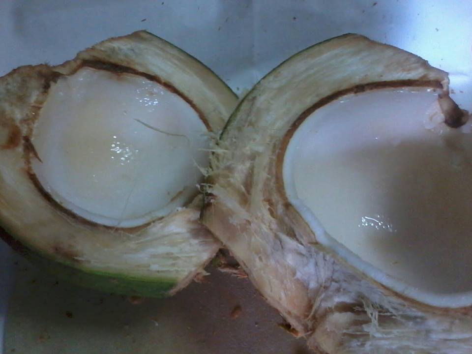 Rockin' the Mom Role: Buko Pandan Cooler