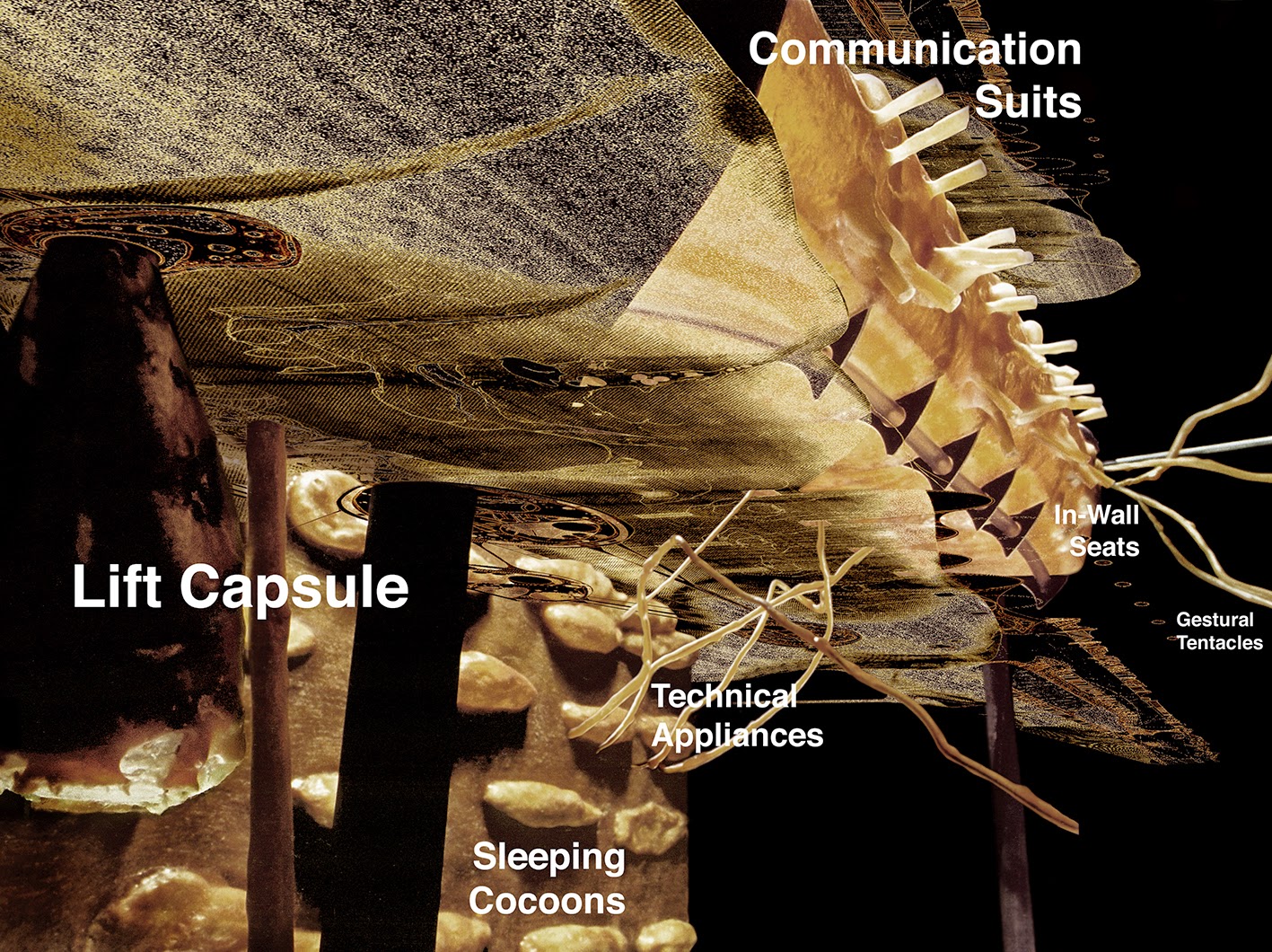 Marcos Cruz Architect