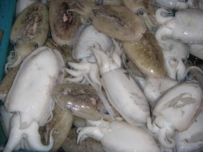 eMMe: Kusangkakan Sotong Biasa rupanya.........