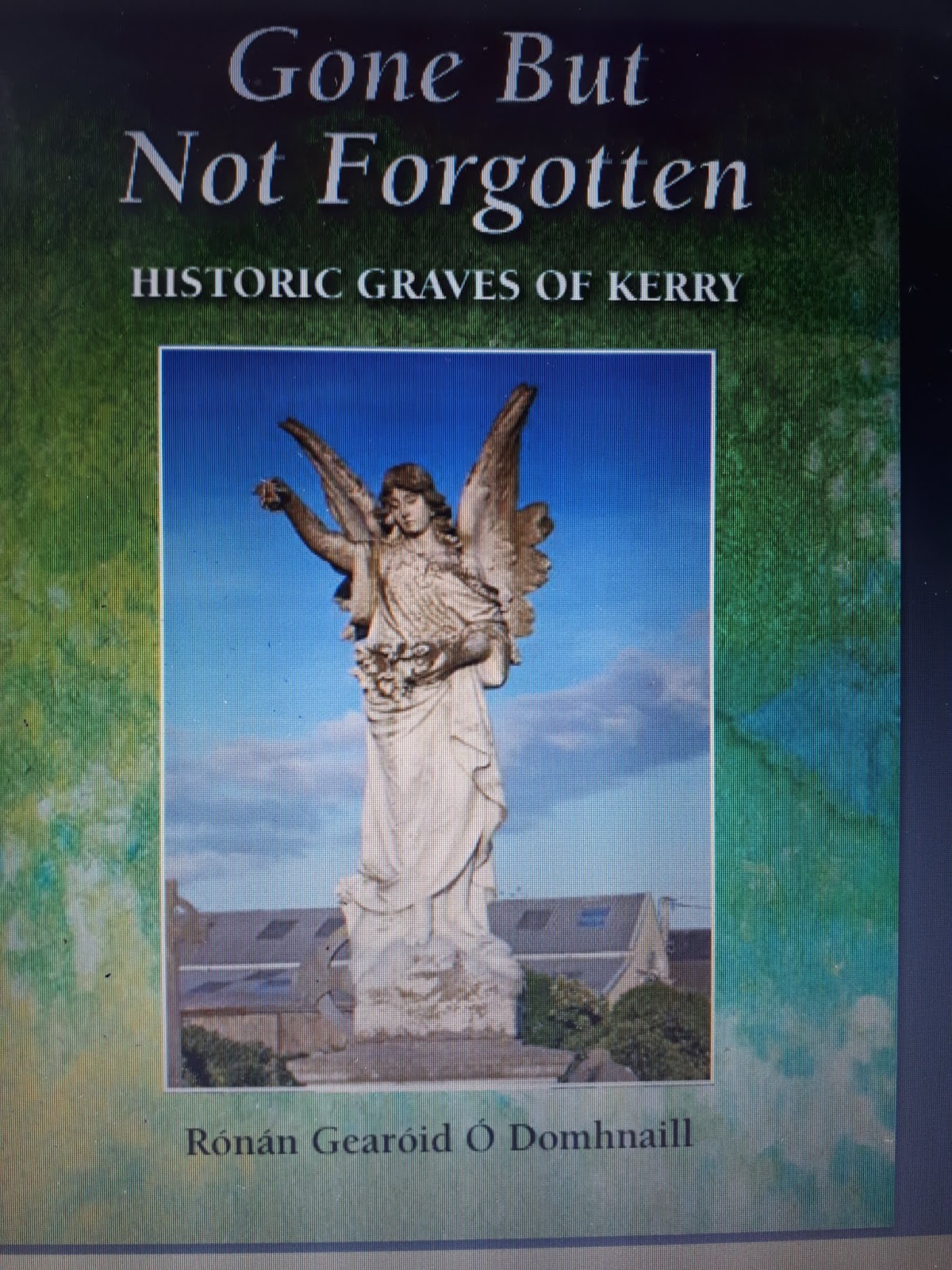 Rónán Gearóid Ó Domhnaill: "Gone But Not Forgotten" has been published!