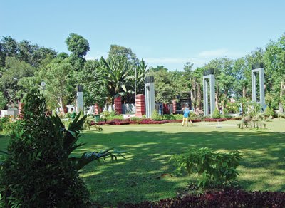 Tanaman Kebun Bunga: Kebun Bunga di Taman Bungkul Surabaya