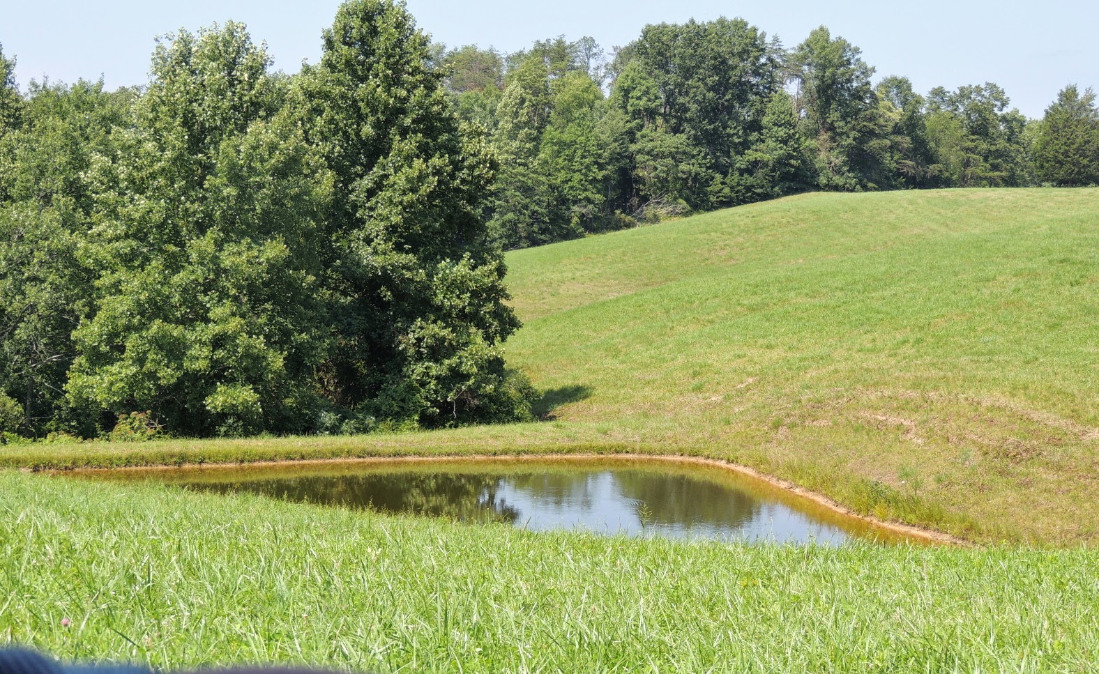 Confessions of a Crazed Cattlewoman: Homestead: Water