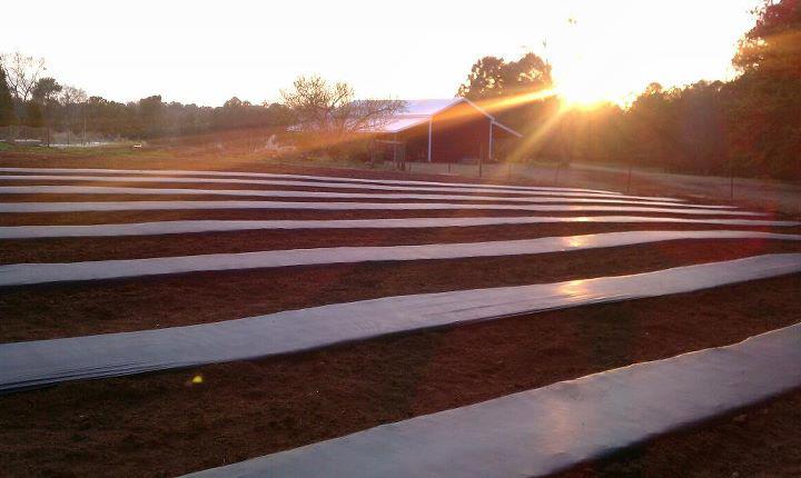 What's Growing On at Whitley Farms: Welcome to Whitley Farms