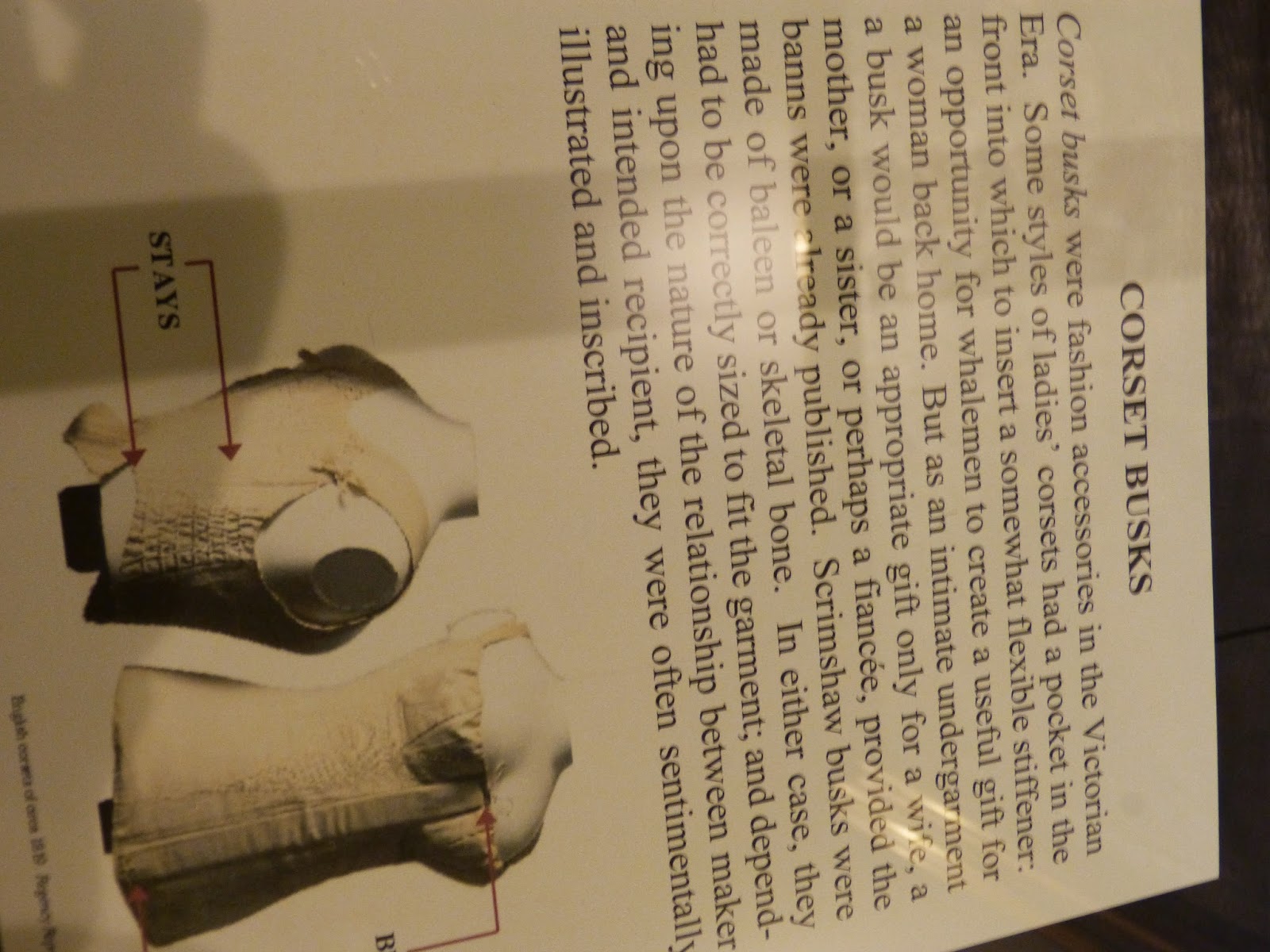 Tea and Circuses: New Bedford Whaling Museum