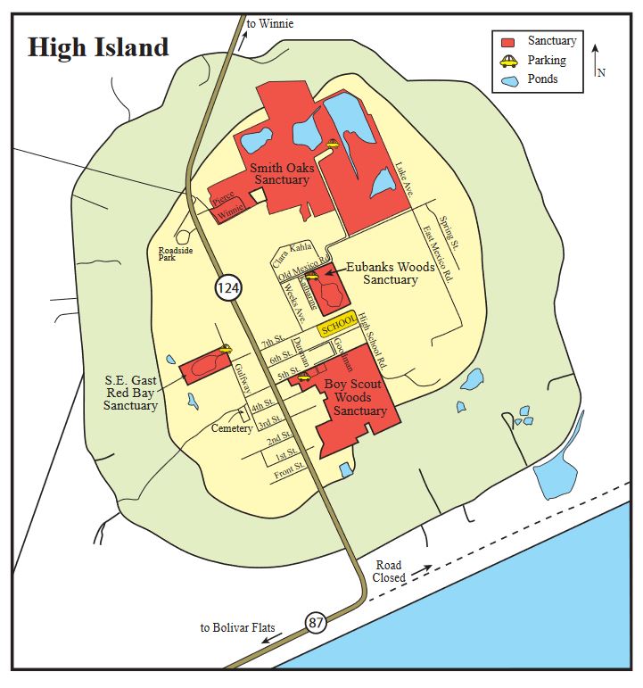 Turkey Tales and Frog Fables: April 2019