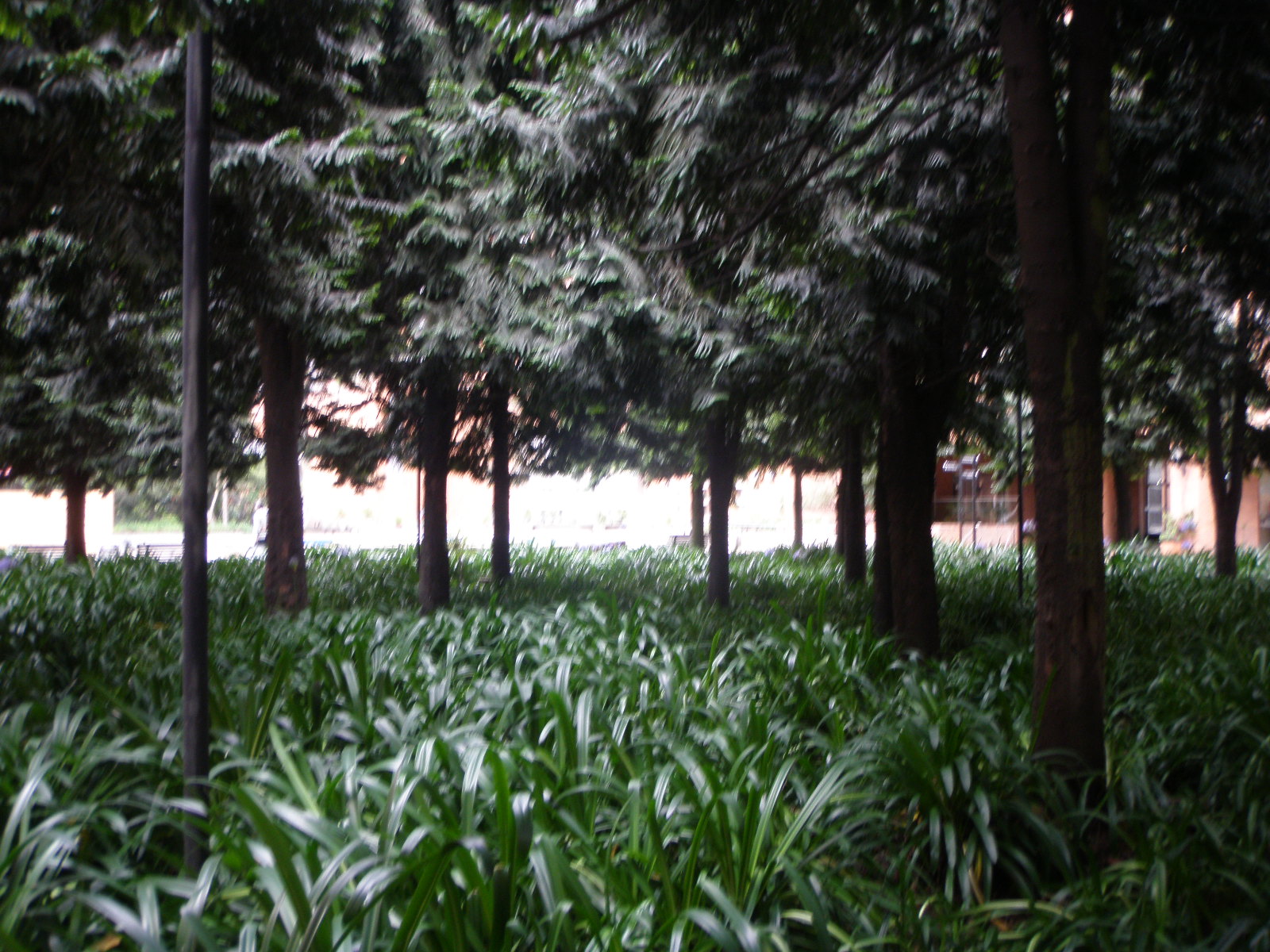 YouMakeTheStyle: PARQUE CENTRAL BAVARIA
