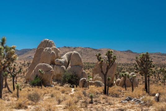 Map of Yucca Valley, California - Street Map of Yucca Valley
