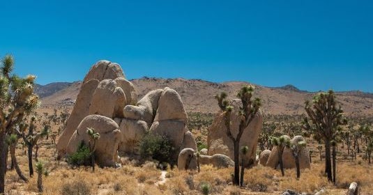Map of Yucca Valley, California - Street Map of Yucca Valley
