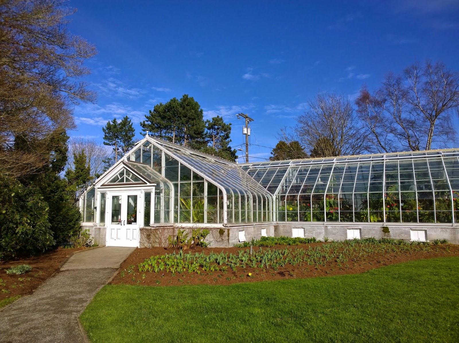 Lydia's Blog: Seattle: Volunteer Park Conservatory