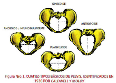 APRENDE A CODIFICAR DIAGNÓSTICOS Y PROCEDIMIENTOS OBSTÉTRICOS EN CIE-10 ...