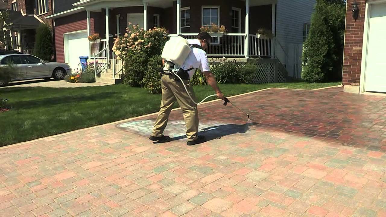 Concrete Painter: Everything You Need To Know About Concrete Floor Spalling