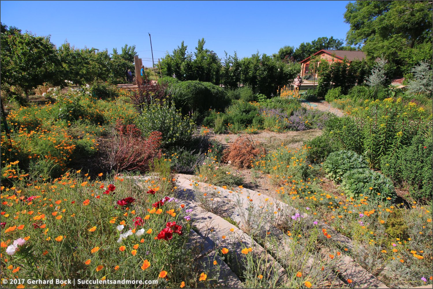 Gardening splendor on two acres in the country