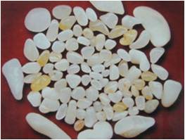 Relik Sang Buddha | All about the Spiritual Budhist,Tao,Hindu ...