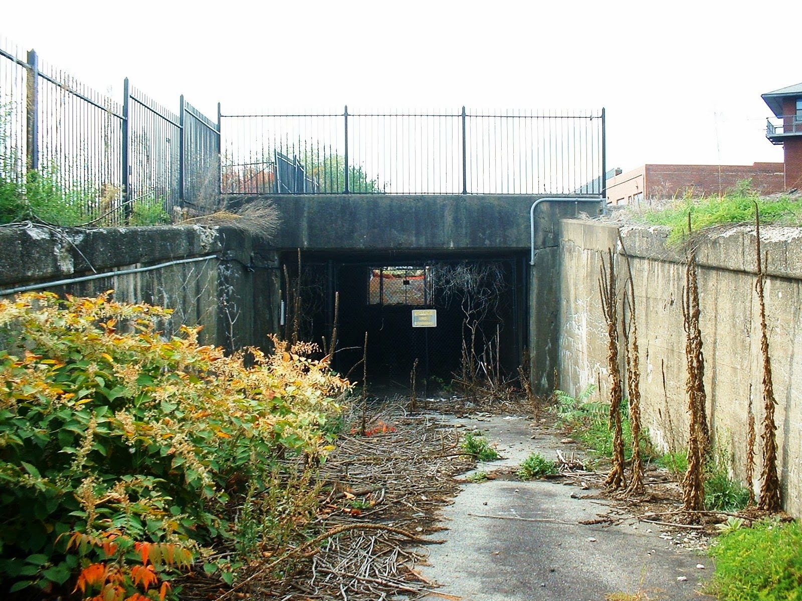 Frank's Place: Cliff Street