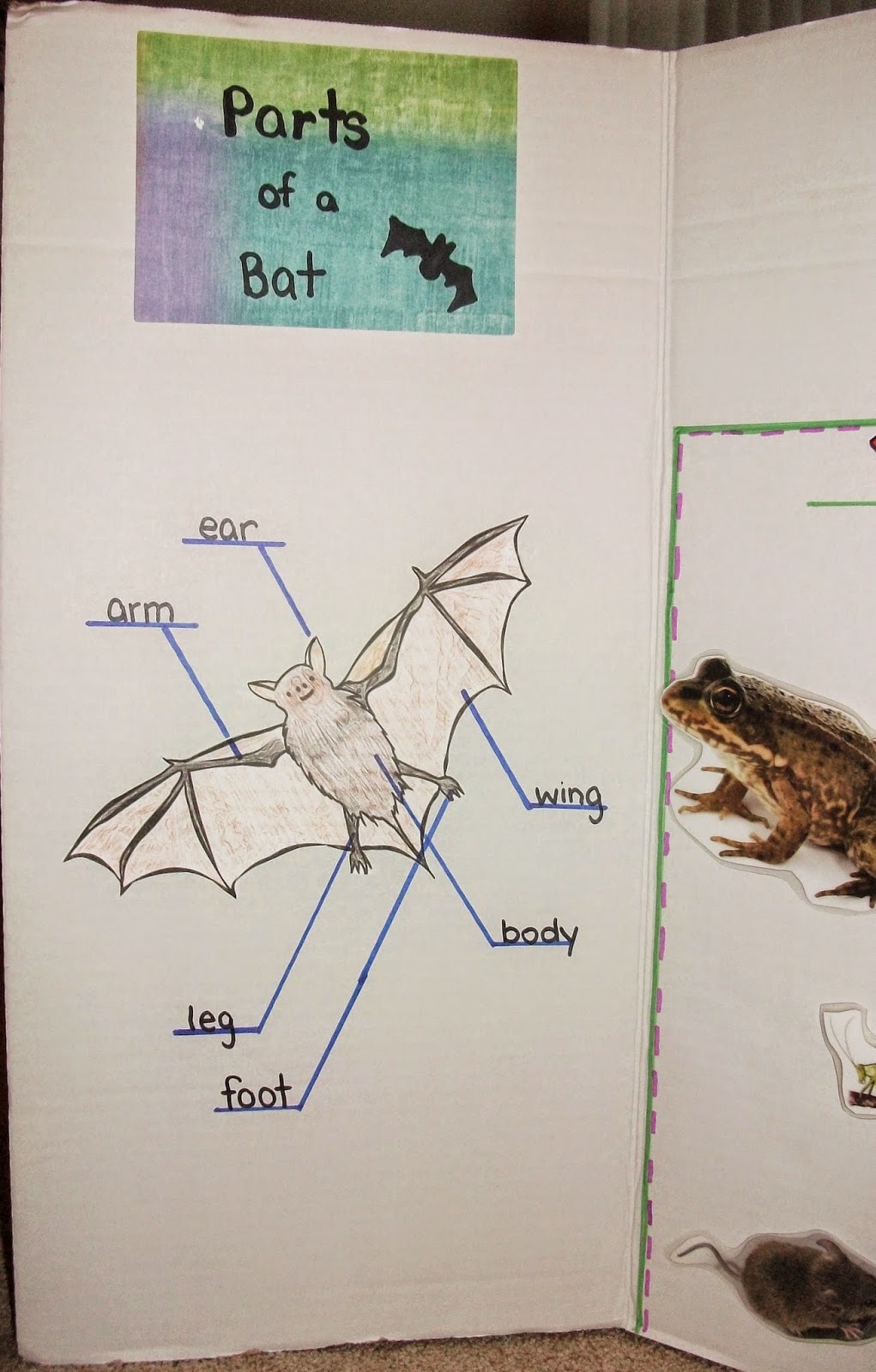 Classroom Conspiracy: Science - Bats (How to celebrate Halloween ...