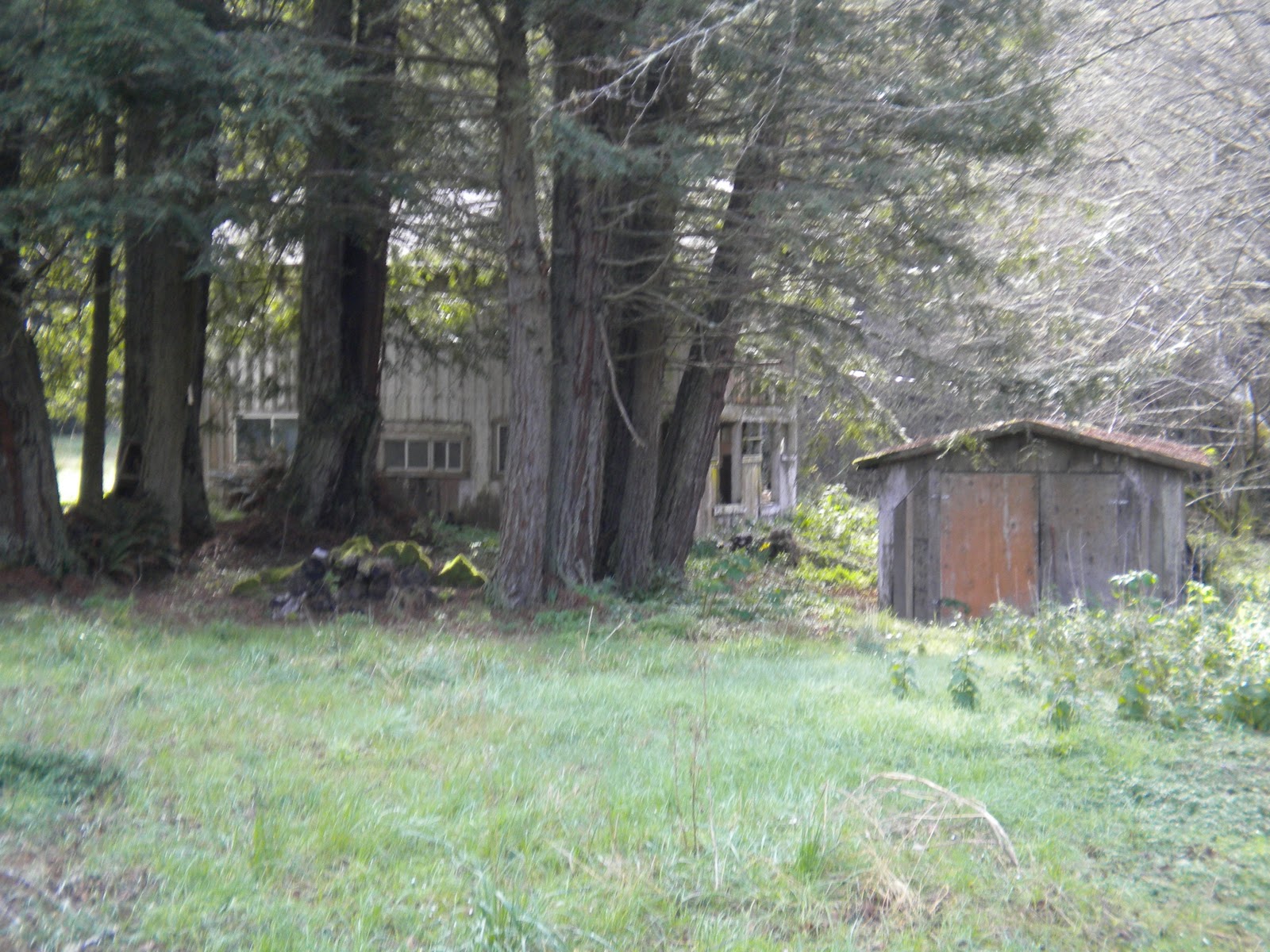 Appalachian mountains haunted