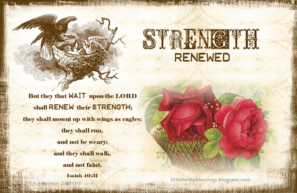 Little Birdie Blessings : Scripture Thursday ~ Strength Renewed