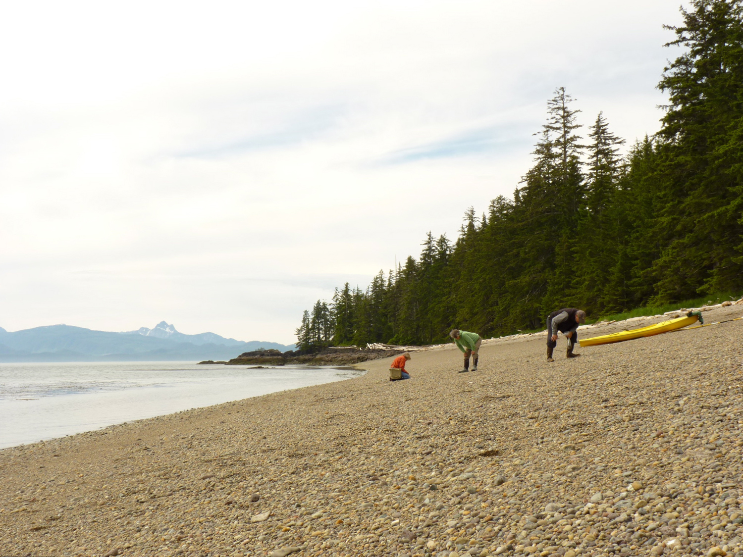 Alaska and Beyond Through Artists' Eyes: A Special Place