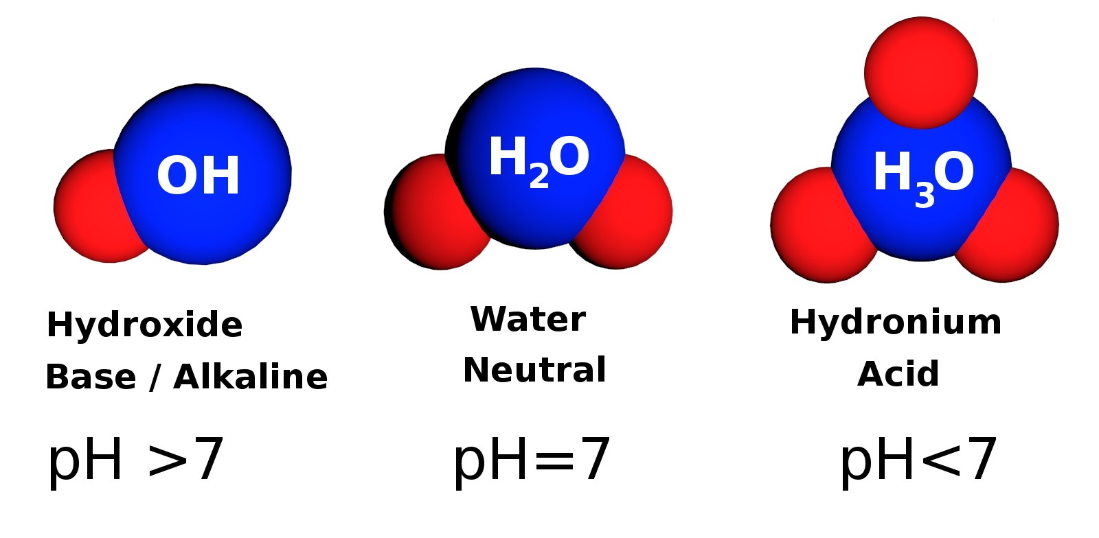 Disini Rumahnya Belajar Hidroponik Bagi Pemula dan Komunitas: APA ITU ...