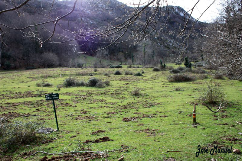 VIVIR EL AIRE LIBRE: COVADONGA - ORANDI