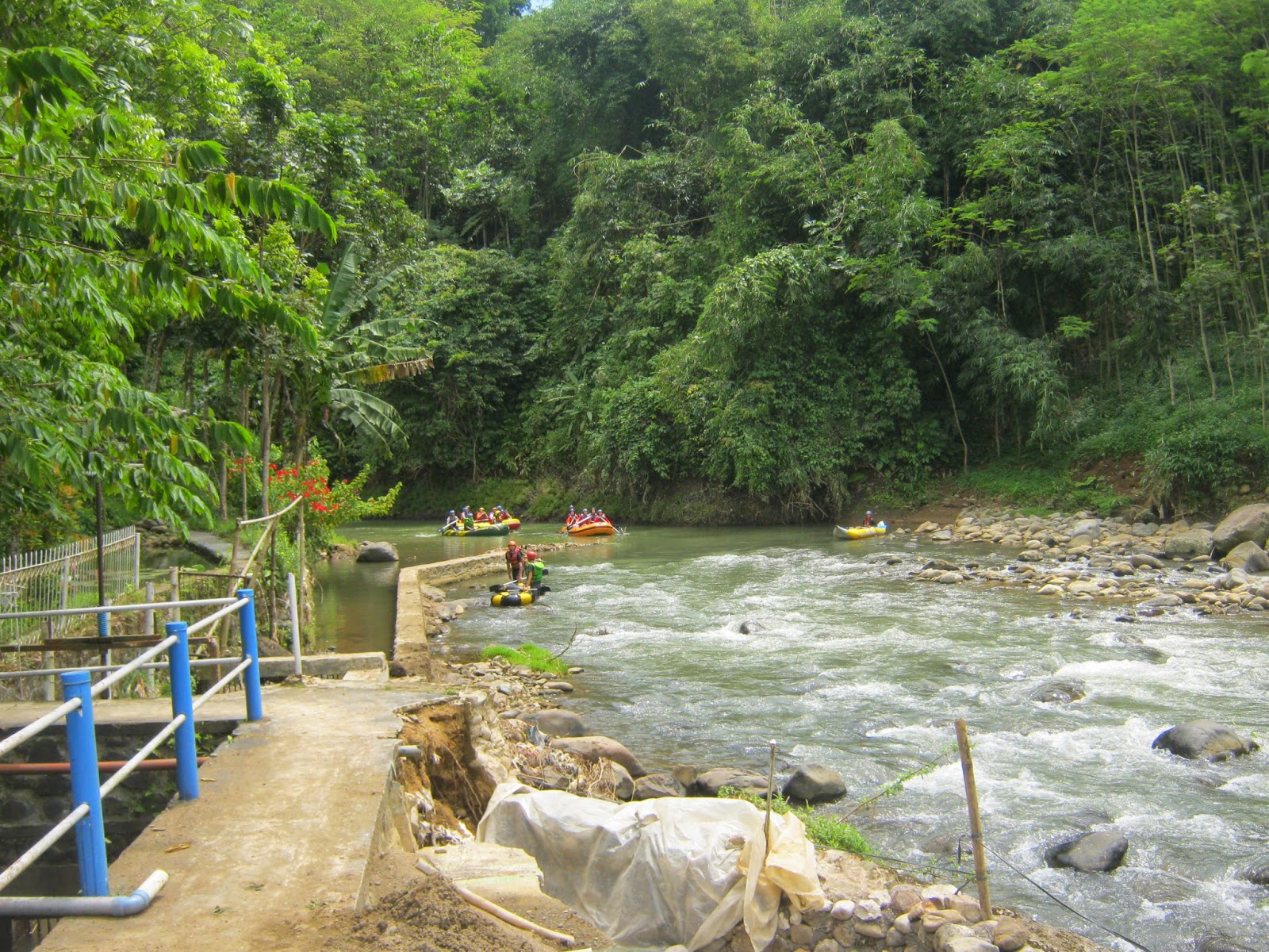 cipunagara river at subang west java indonesia | taman senja