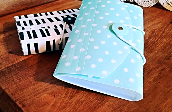How to Keep Your Flashcards Organized ~ Curiosity and Charm