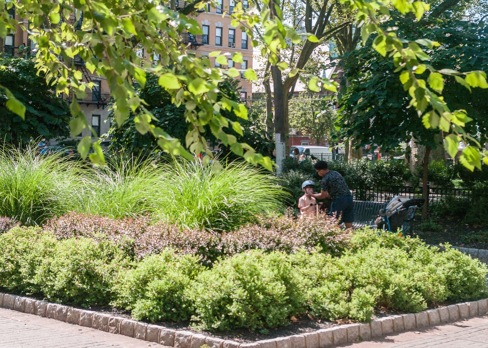 NEW SAVANNA: Columbus Park, Hoboken, NJ