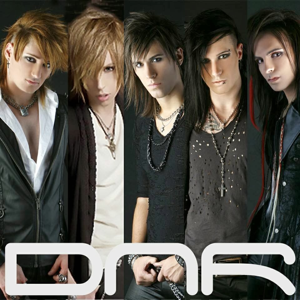 DNR Official Brazilian Support