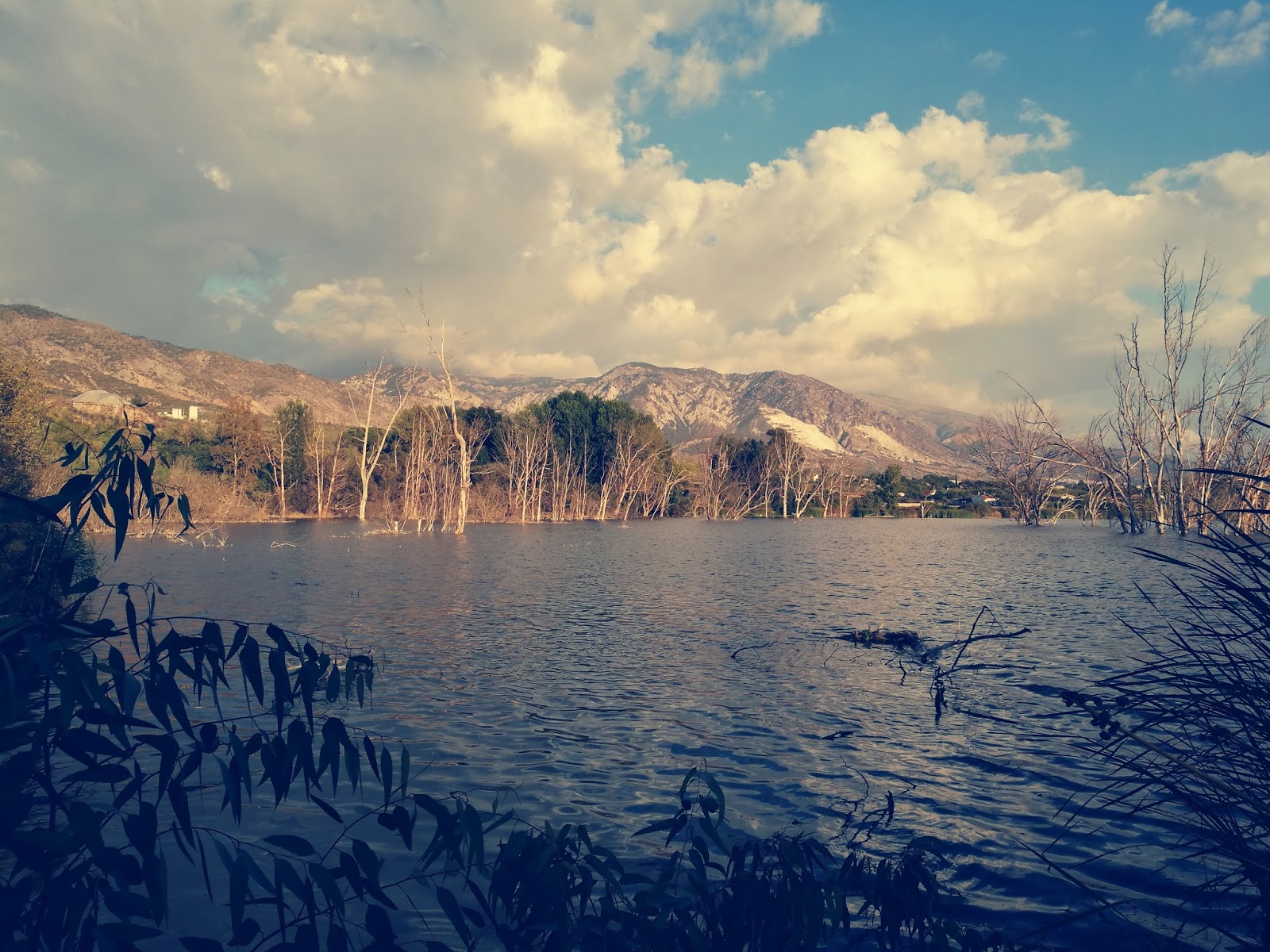 Padul te Espera ¡Descúbrelo!: Padul te espera, también en Navidad.