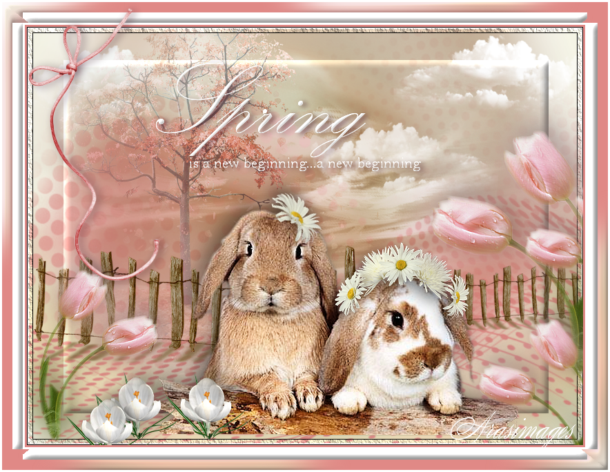 Tutoriais e materiais para PSP: TUTORIAL 15 ABRIL, 2017