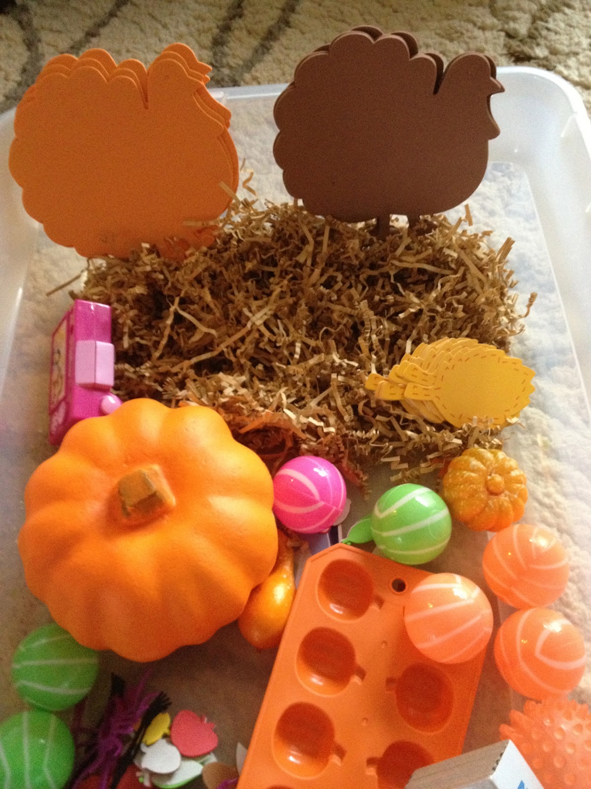 Busy Hands Blessed Hearts: Fall Pumpkin Sensory Bin