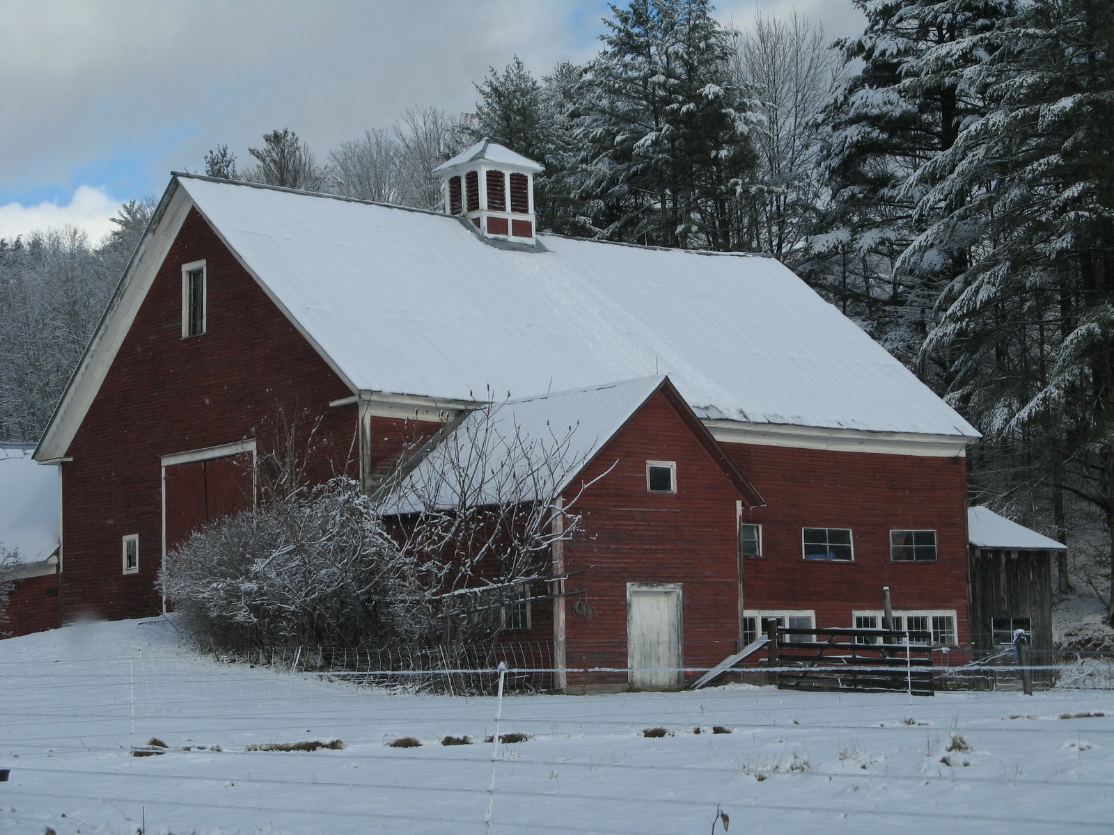 Animal Instinct: Christmas Snow Barns