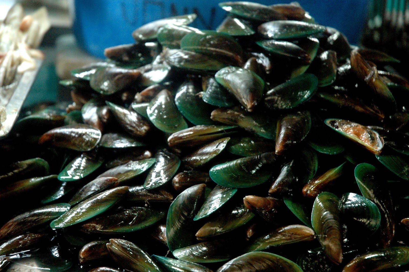 DUDE FOR FOOD: A Day at the Market: The Farmers Market Day Tour