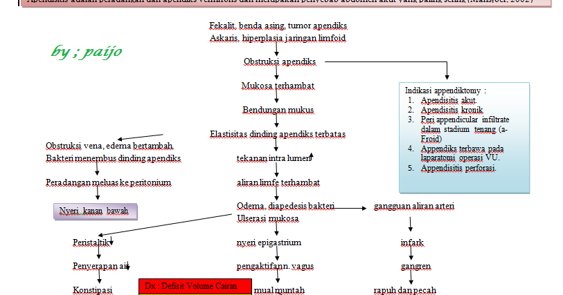 Pathway Apendiksitis
