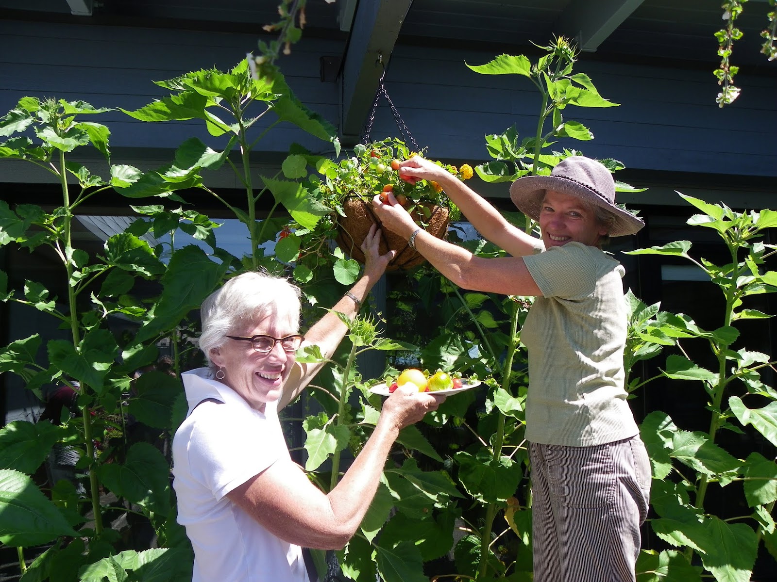 West Vancouver Seniors' Centre Garden Club Activities: The Seniors ...