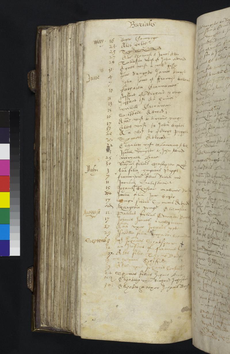 The Review : Mary Arden - Shakespeare's Mother