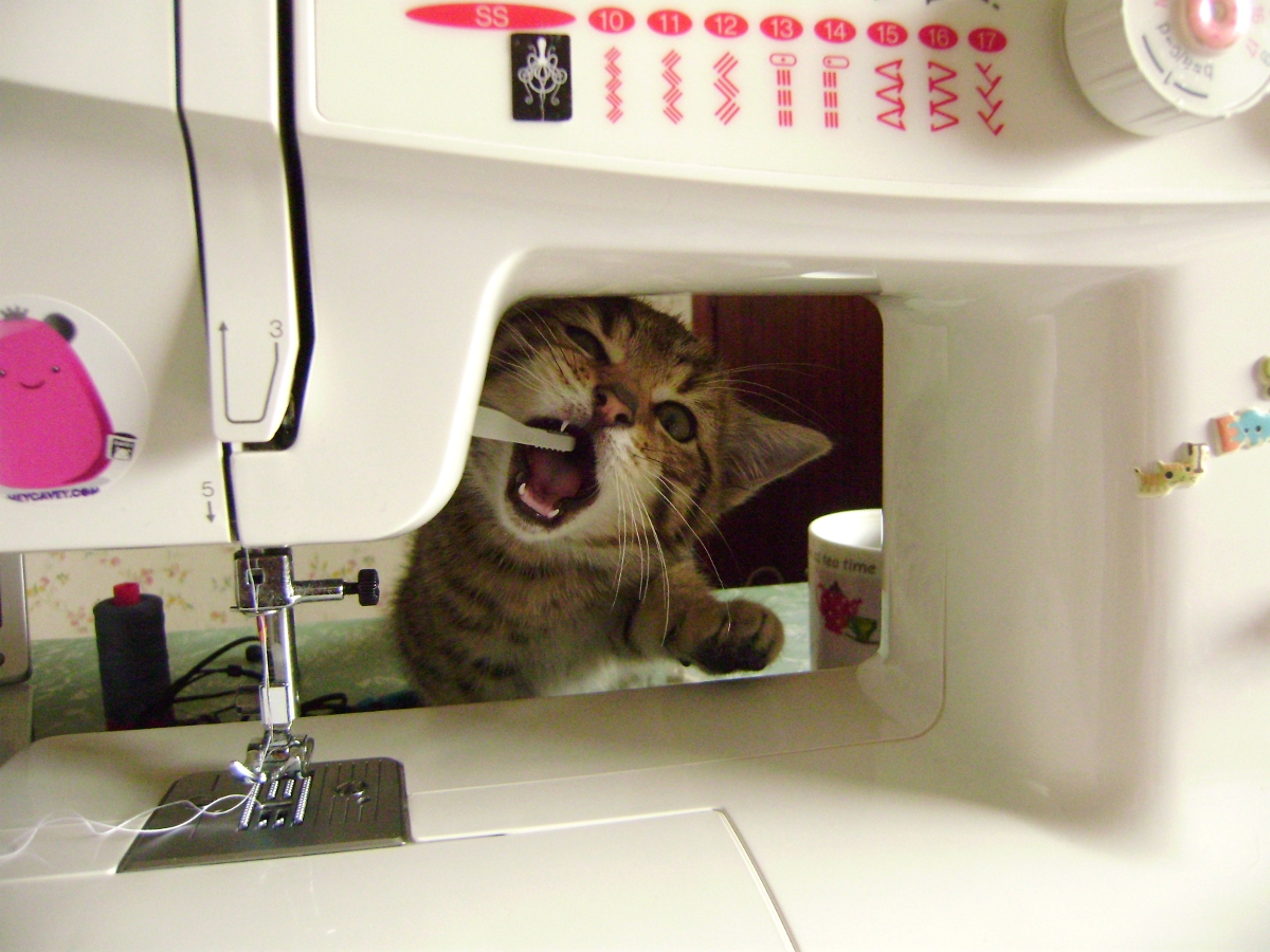 Non-Euclidean Quilting: Stitching with kittens