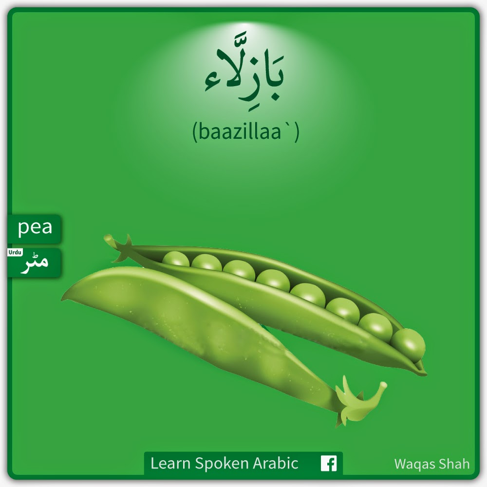 Learn Spoken Arabic learn-spoken-arabic